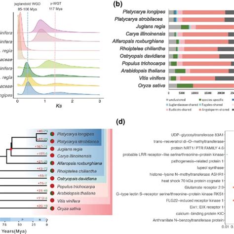 Genomic Islands Of Divergence A Distribution Of Genetic