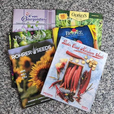 Free Flower Seeds And Bulbs Samples Best Flower Site