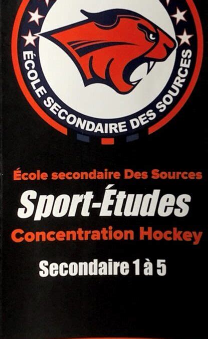 École Secondaire Des Sources Sportplexe