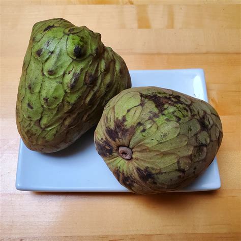 Cherimoya — Wanderlust Nursery