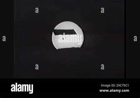 1927 In This Animated Film Noah Designates Two Cats As His First