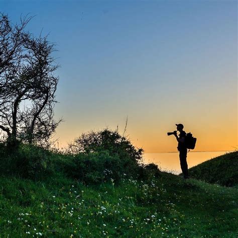 Vildt Kamera David Buchmanns Naturformidling