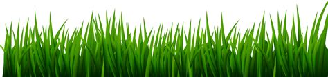 Green Lawn Green Grass Line Art Clip Art Library