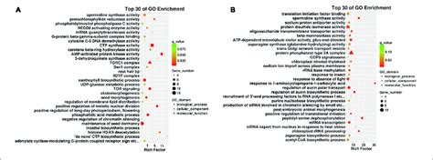 Top 30 Go Enrichment Terms In Different Plant Tissues Such As A