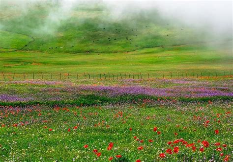 Stunning Guilan Beautiful Landscapes Nature Landscape