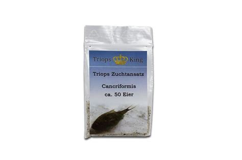 Triops Cancriformis Austria Tadpole Shrimp Breeding Approach 1949