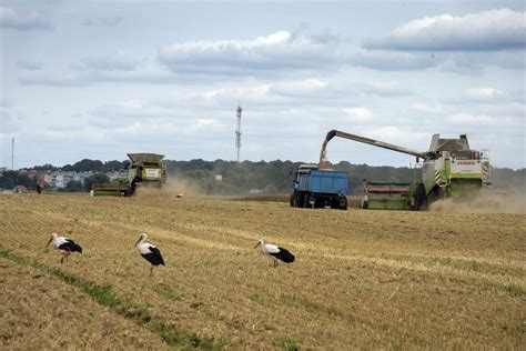 Russia Halts Landmark Deal That Allowed Ukraine To Export Grain At Time