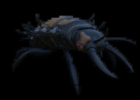 Ladybird Larva Grounded Wiki Fandom