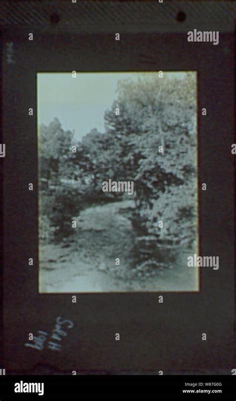 Prints From Negatives At Ebony Heritage Blog