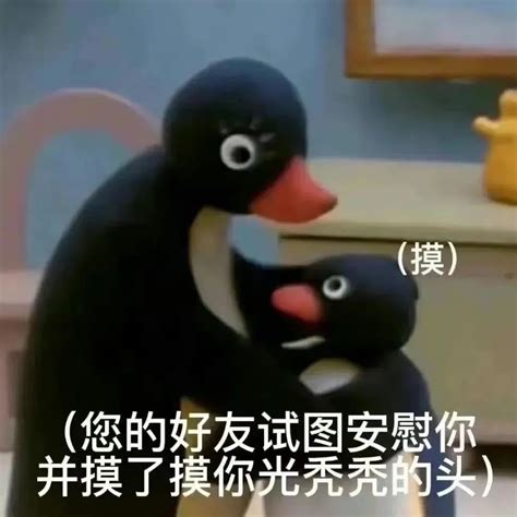 可爱企鹅玩偶演绎，您的好友正温柔摸头安慰你 表情包｜真服了你个老六 可爱企鹅玩偶温馨互动，好友式安慰摸头杀超暖心表情包图片动图 求表情网斗图从此不求人