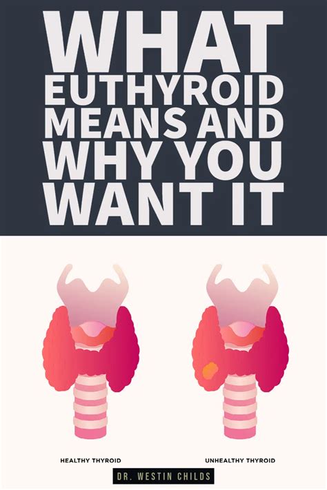 What Does “euthyroid” Mean Definition Symptoms And More