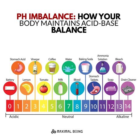 Human Body Ph Balance Chart