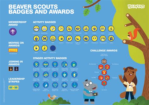 Beavers 16th High Wycombe Scouts