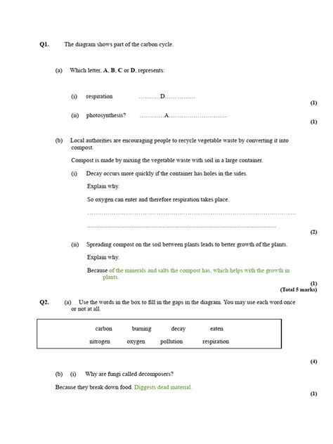 Carbon Cycle Questions Download Free Pdf Compost Decomposition
