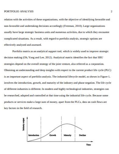 Portfolio Analysis 12 Examples Format Pdf