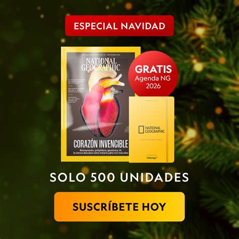 Litio Li Propiedades Químicas Del Elemento De La Tabla Periódica