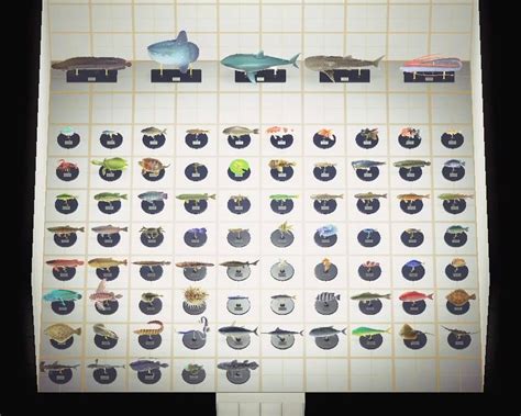 Ive Finally Collected All Of The Bug And Fish Models Ranimalcrossing