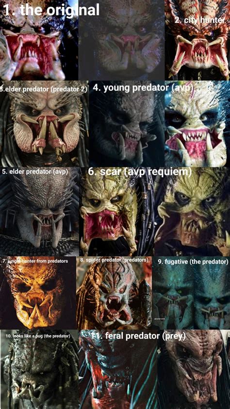 Yautja Predator Xenopedia The Alien Vs Predator Wiki Predator Ancient