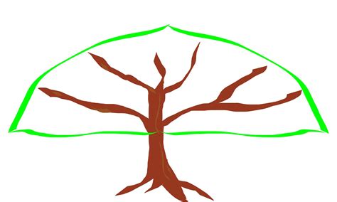 Pruning Finger Lime The Key Is Clearing The Center Out