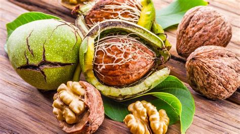 Arrat Janë Të Mirë Për Shëndetin E Zemrës Kosova Sot