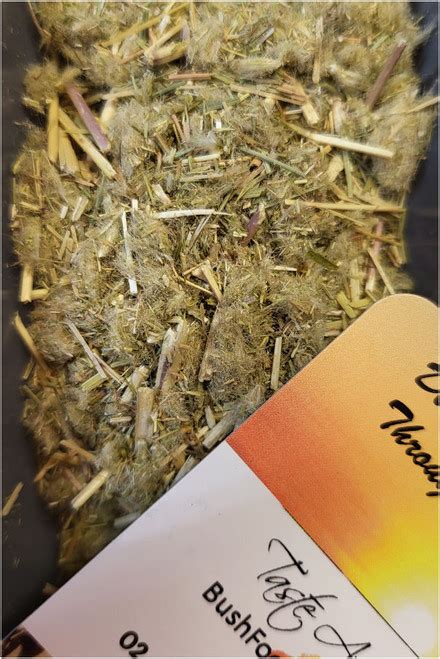 Australian Native Lemon Grass Taste Australia Bush Food Shop