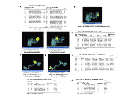 The Epitope Analysis Of The Fiber Protein A Table 1 B Cell Linear