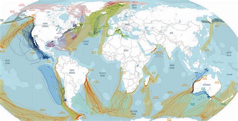 Whale Migration Routes Indian Ocean