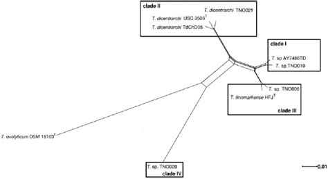 Detection Of Recombination Reticulate Evolutionary Relationship