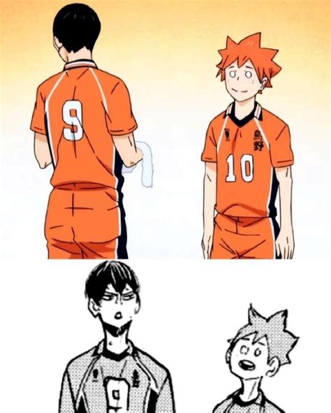 모든 상품들이 가능하나용 콜리colley