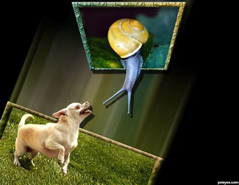 Try To Catch Picture By Lahiripartha For Frame To Frame Photoshop Contest Pxleyes Com