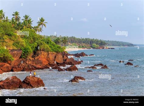 India State Of Kerala Surroundings Of Kannur Cannamore Thottada