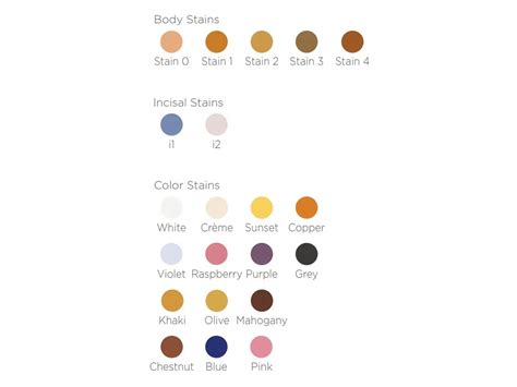 Dentsply Sirona Universal Body Stain Alpha Dentkart