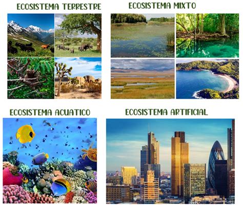 Ejemplos De Ecosistemas Naturales
