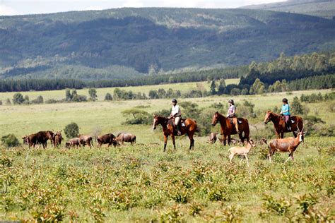 Mlilwane Wildlife Sanctuary Eswatini Big Game Parks