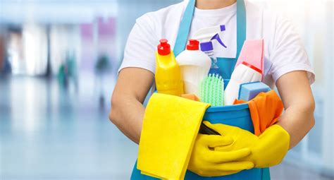 Adele Cleaning Franchise 2023 Cost Fees And Profit Skillsandtech