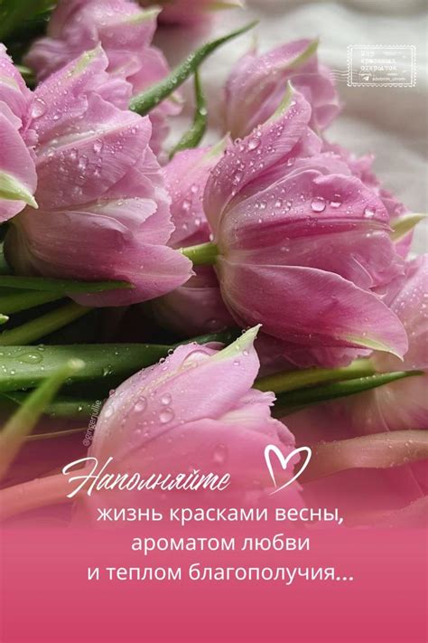 Пин от пользователя Бекбосынова Т Б на доске Весна в 2024 г Весна Радужные розы