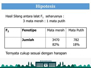 5 Sex Linkage Pptx