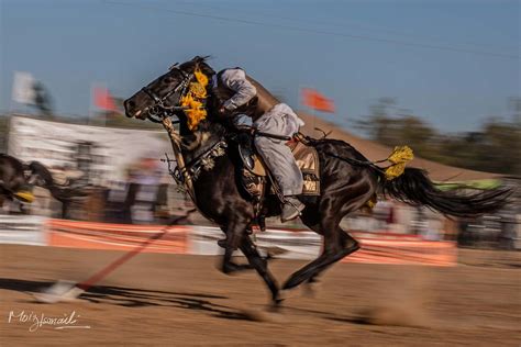 Moiz Ismaili Insearchpk