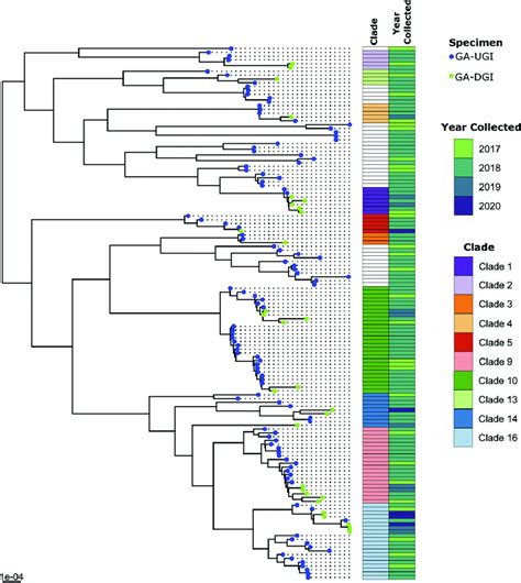 Maximum Likelihood Phylogenetic Tree Based On Core Genome Download