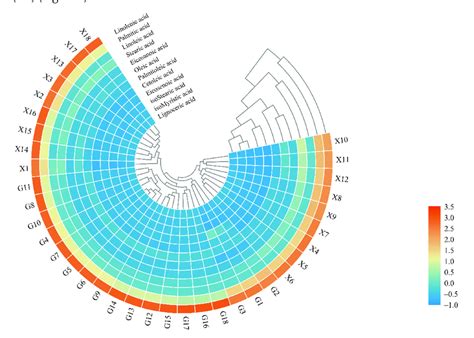 Cluster Heat Map Chm Analysis Of Fatty Acid Composition For Two