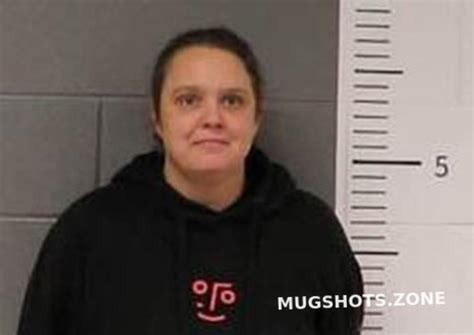 Alisha Jackson 02252025 St Clair County Mugshots Zone