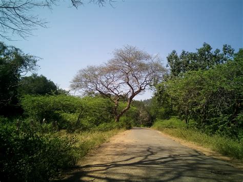 Bheemeshwari Cauvery Wildlife Sanctuary Bangalore Weekend Destinations
