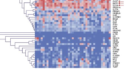 Human Angioimmunoblastic T Cell Lymphoma Aitl Cases Exhibit Enhanced Download Scientific