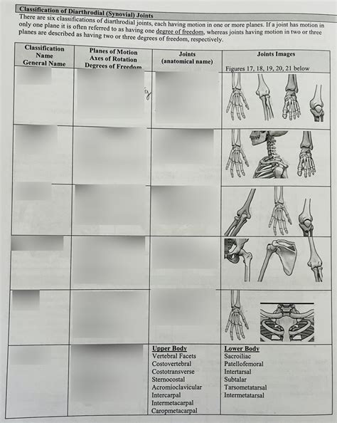 Joints Diagram Quizlet