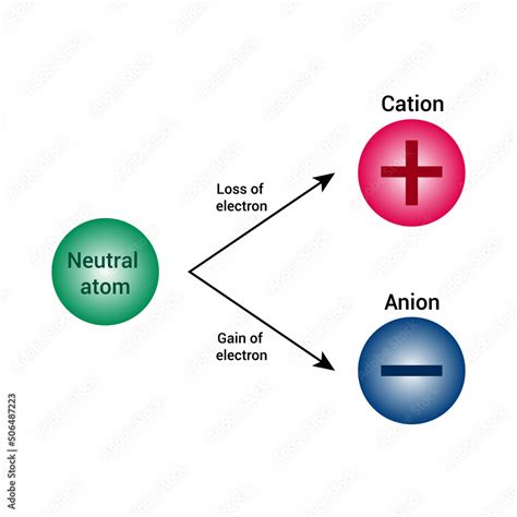 Poster Difference Between Anions Cations And Neutral Atom Vector