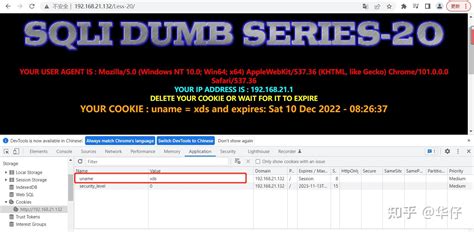 Sql注入之sqli Labs的less 20(basic Injection) 知乎 Sql注入之sqli Labs的less 20(basic Injection) 知乎