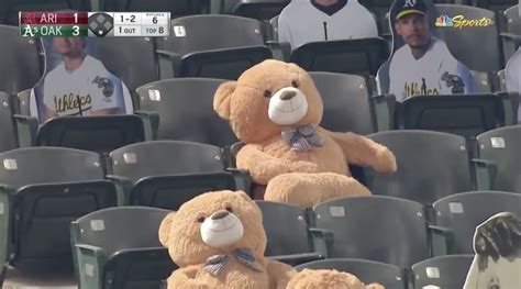 Giant Teddy Bear Slammed With Foul Ball At Baseball Game Bounces Back