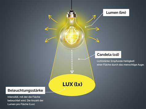 Lux Lumen Kelvin Und Co Kelvin Lumen Bedeutung Dflasj