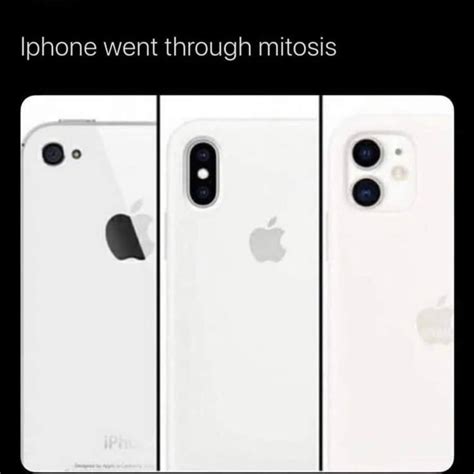 Iphone Meme Rbiologymeme