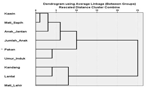 Spss Analisis Klaster Cluster Analysis